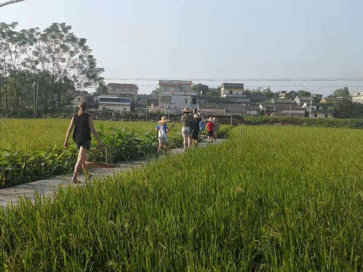 Off-the-beaten-path Kaiping Adventure | Cycle Canton - Guided Tours of ...